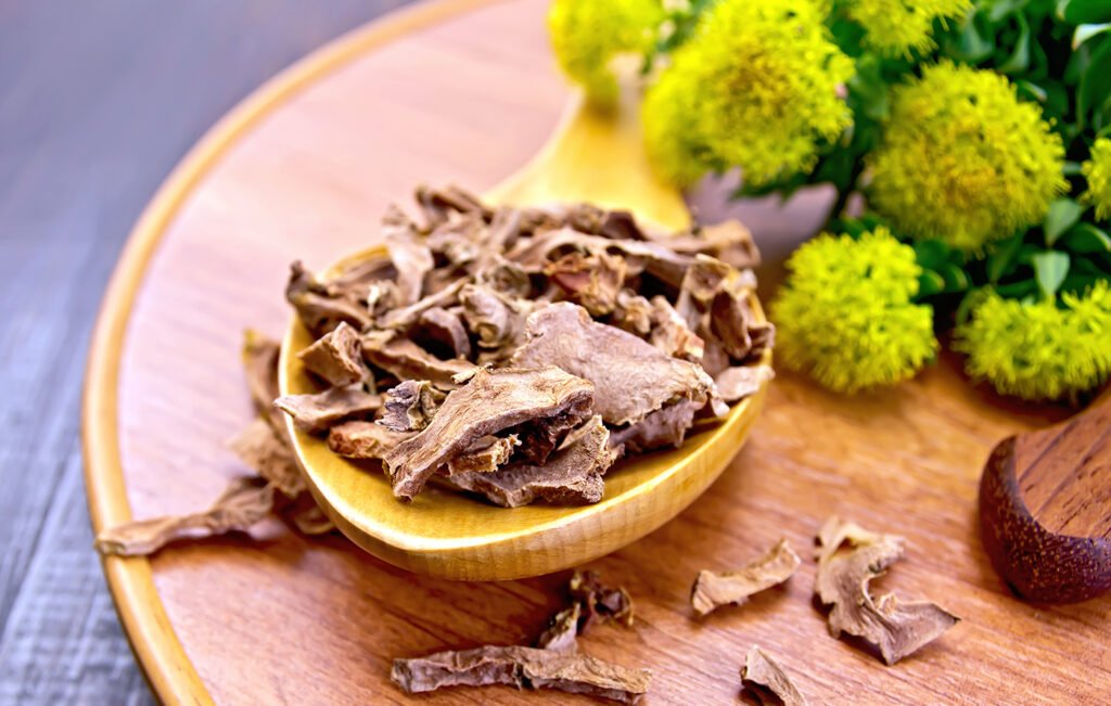 La Rhodiola, une plante intéressante pour la thyroïde